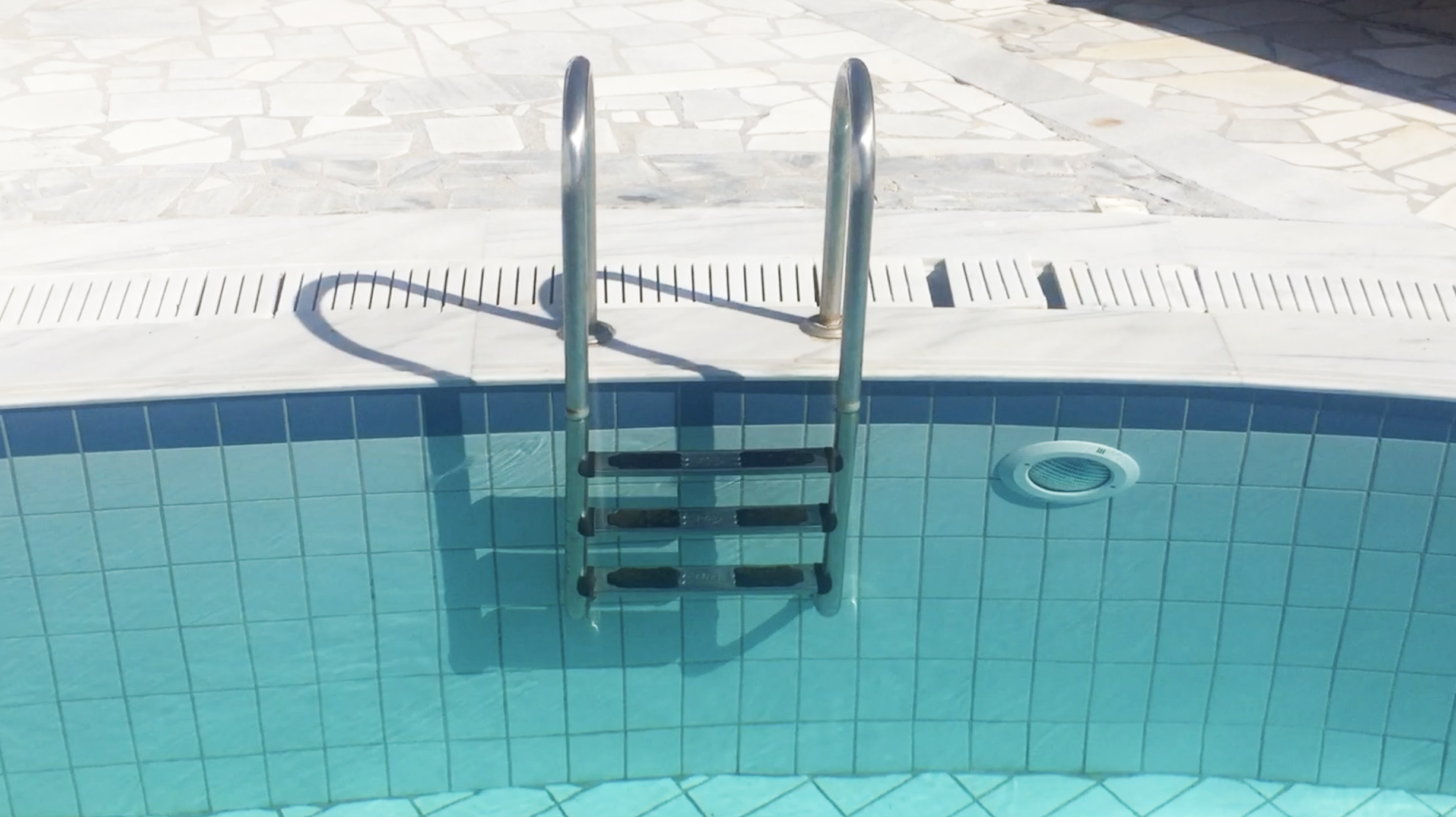 WALKING THE DOG ON THE SALT - NEON